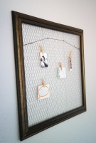 Chicken Wire Frame