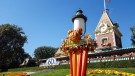 11 Must-Know Tips for Disneyland in October
