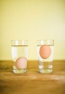 Do Bad Eggs Float or Sink?