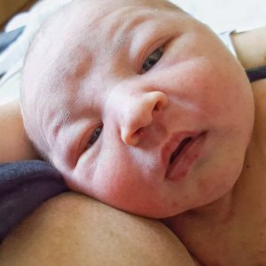 Introducing Baby Bam!