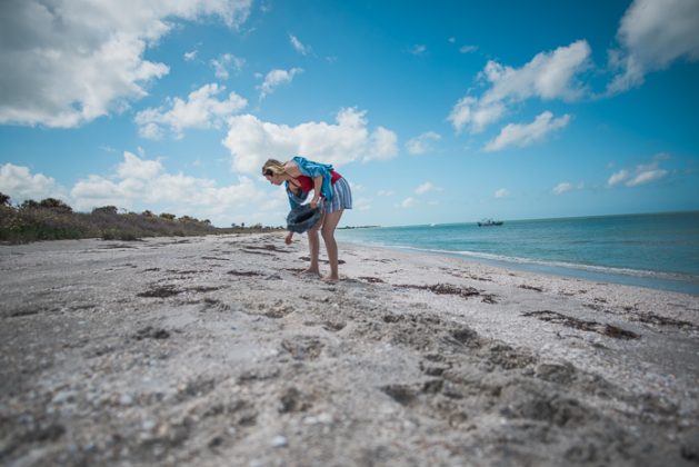 Sea Shelling 101 (By the Sea Shore!)