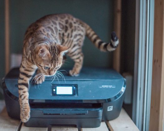 This Smart Wi-Fi Hub helps connect ALL the things