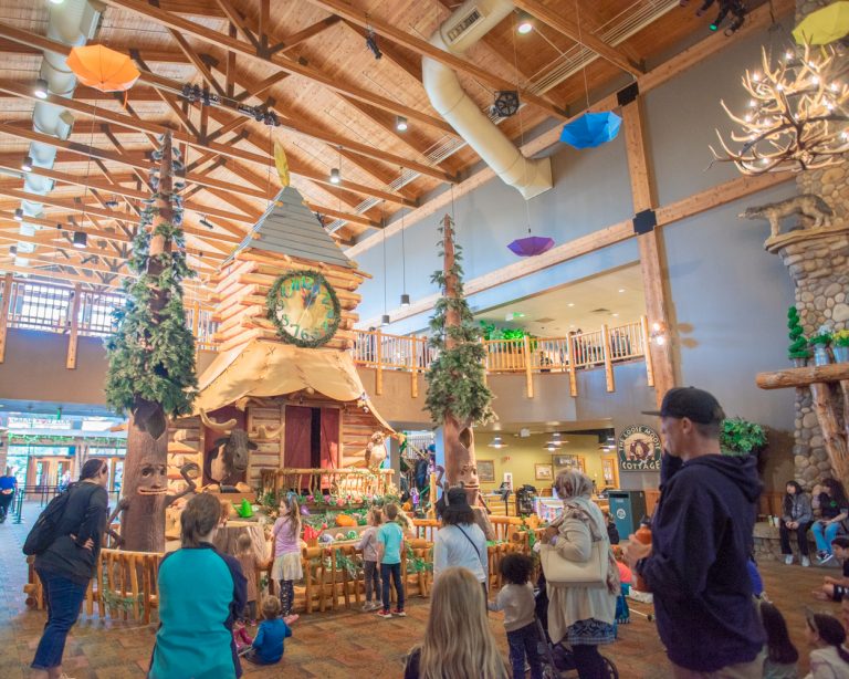 Great Wolf Lodge Activities: What's Best for Every Age